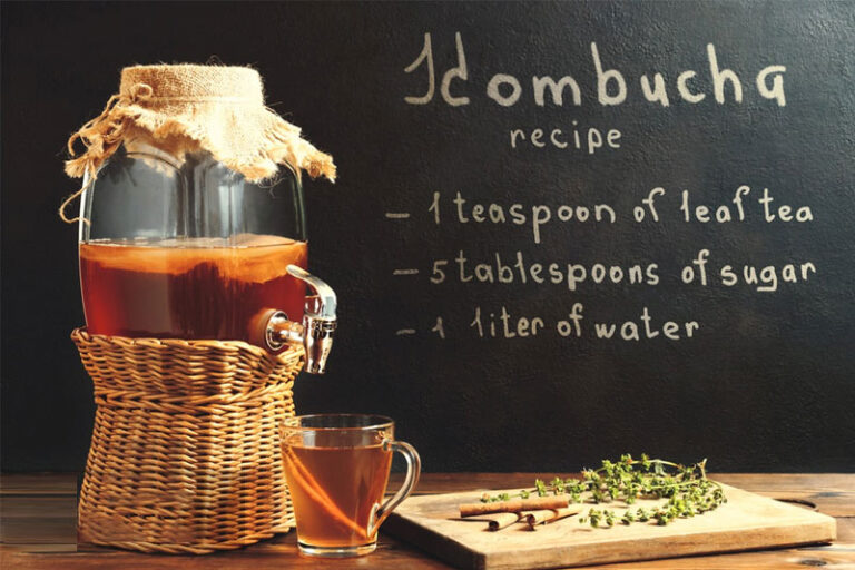 How to choose commercial kombucha brewing equipment?